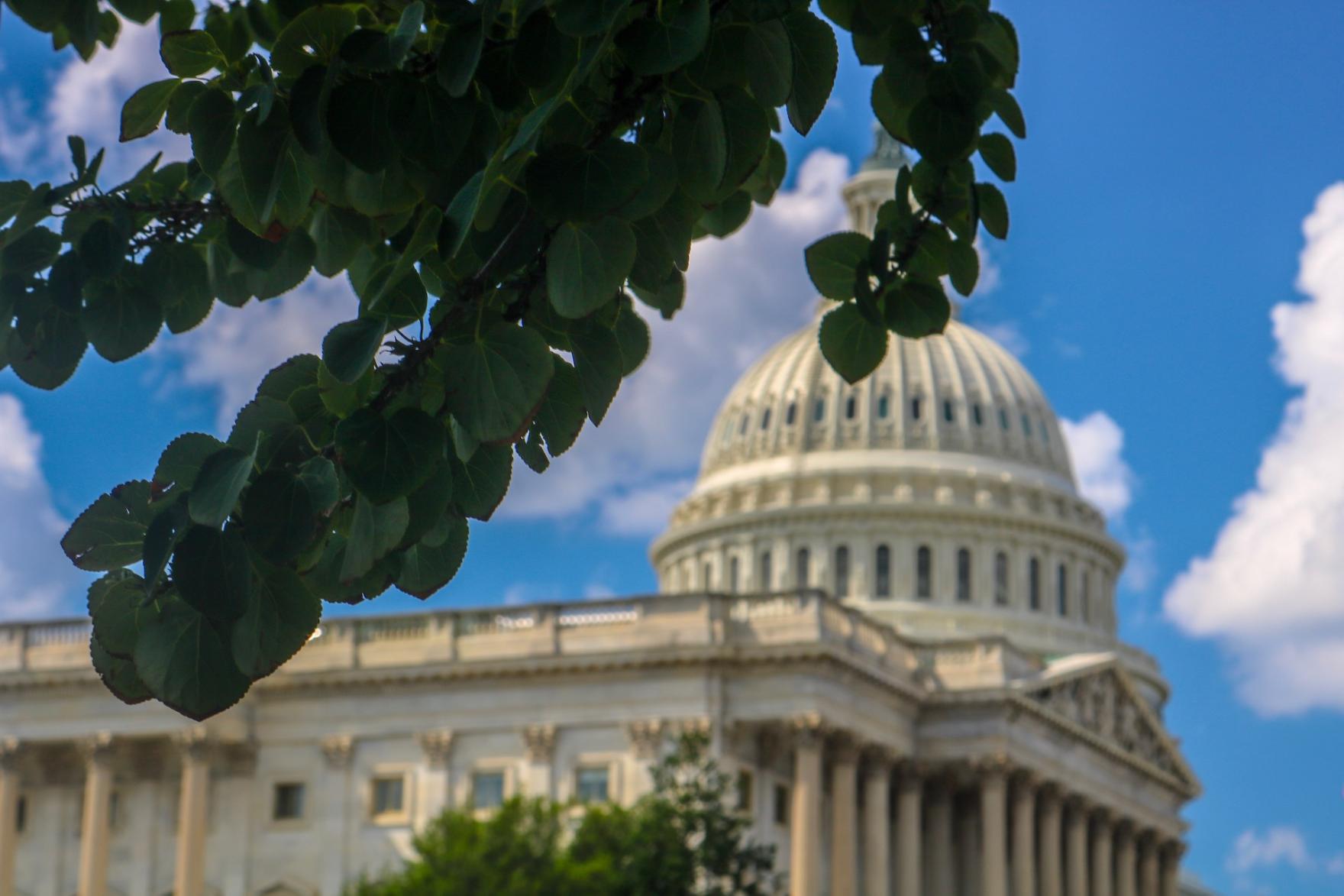 The Washington Center | Alvernia University